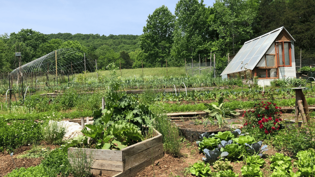 Earthbeet Farm – Growing with the Rhythms of Nature